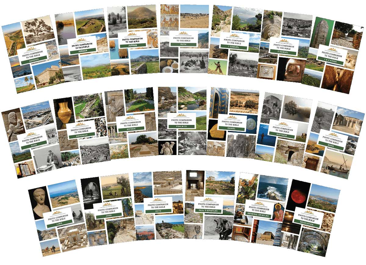 Genesis Photo Companion – Lisa LaGeorge